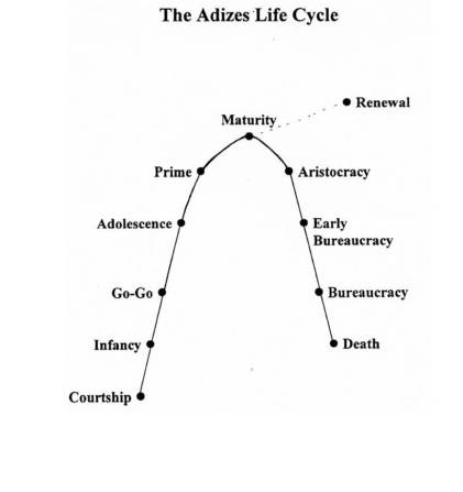 Ascertaining the State of the Parish Using the Adizes Life Cycle of ...