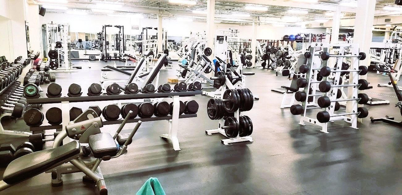 Book Gym Time | Bodywise Health & Fitness Centre