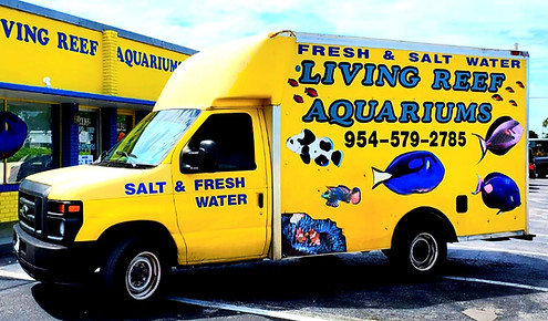 Living Reef Aquariums-Saltwater Fish Store, Marine Fish, Corals