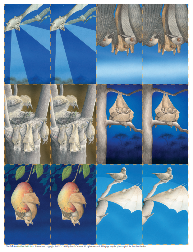 Stellaluna - Storytime Kit