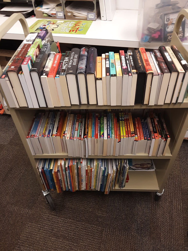 Summer Reading Book Prizes