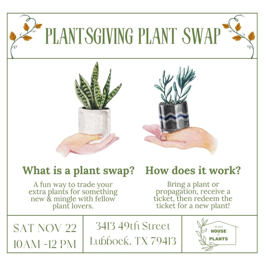 Plantsgiving Plant Swap | House of Plants