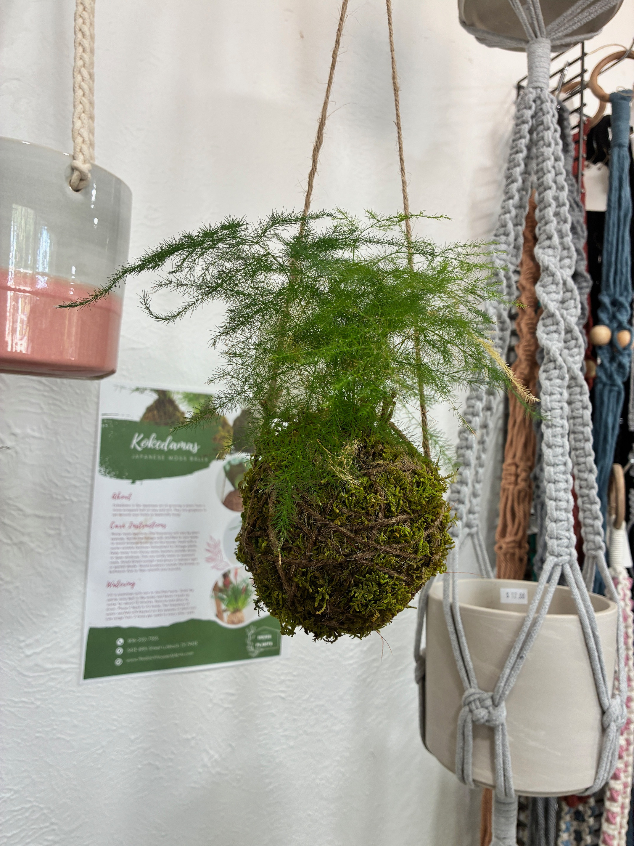 Mini Kokedama Workshop | House of Plants