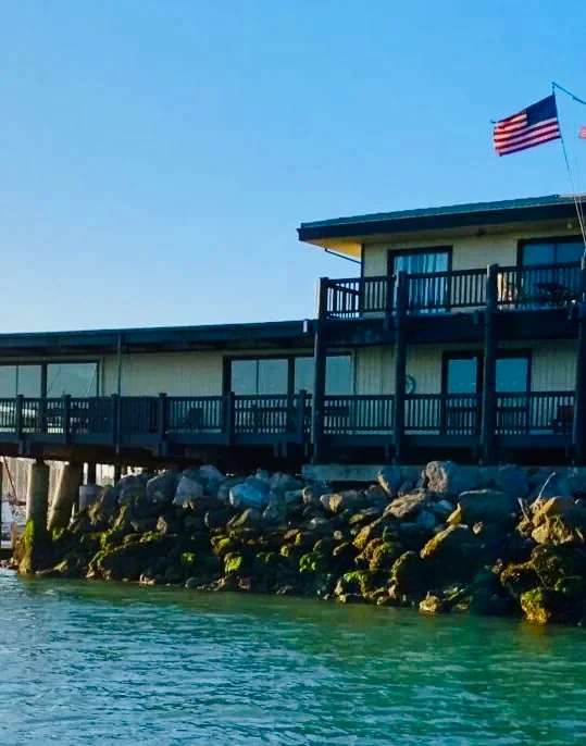 Nominations for 2024 BYC Board of Directors