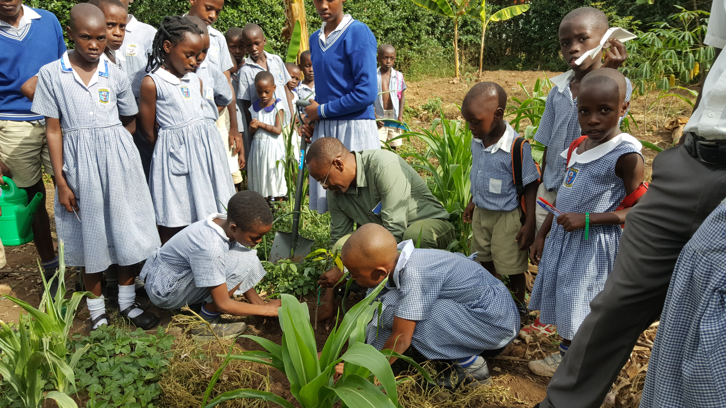 Home | ECOSEV | Efforts for Environment Sustainability | Kampala, Uganda