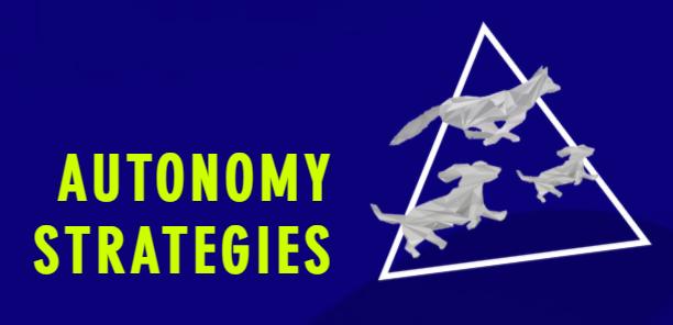 Strategic Communications | Autonomy Strategies