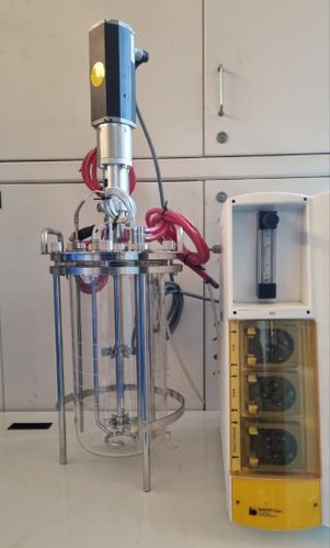 Sartorius Biostat Bioreactor System 8843806 | rescience