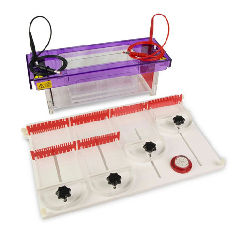 Genesee Scientific 45-116 MultiSUB4 multi-level Gel Chambers | PARMA