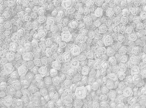 Photo Booth Hire Perth | Eye Catching Backdrops | Perth Social Booth