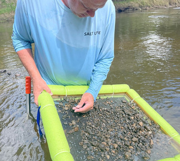 Peace Paleo Adventures | Florida Fossil Hunting