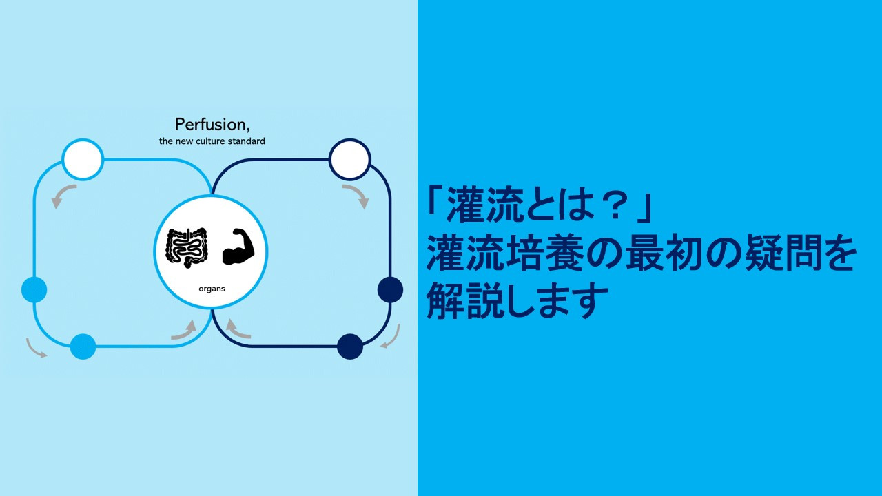 What is perfusion? Your questions answered!
