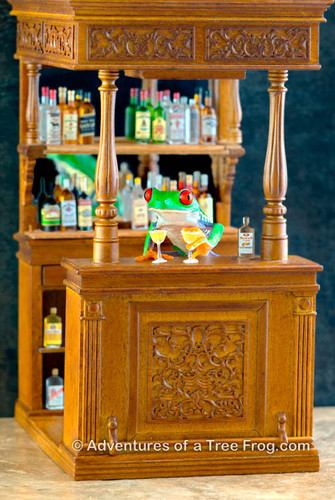 Bar Hopping | Frogs Doing Things