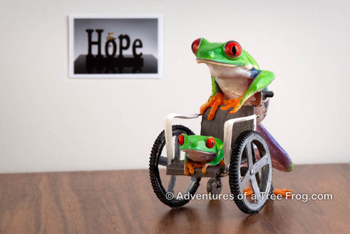 Wheelchair | Frogs Doing Things