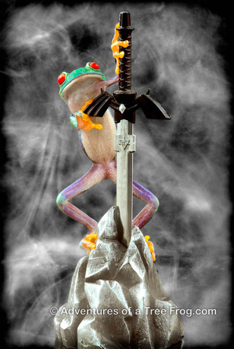 Sword & Stone | Frogs Doing Things