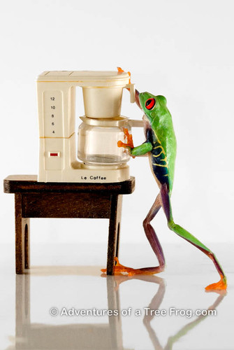 Making The Coffee | Frogs Doing Things