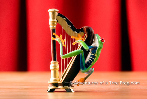 Harp Frog | Frogs Doing Things