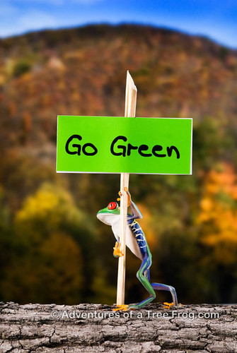 Go Green | Frogs Doing Things