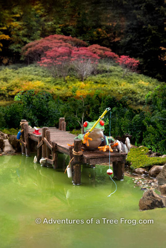 Fishing Frog | Frogs Doing Things