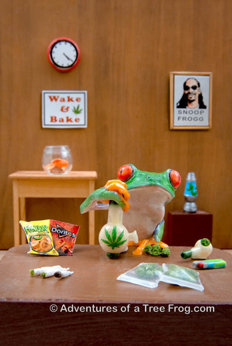 Wake & Bake | Frogs Doing Things