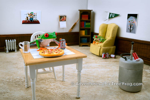 Party Animals | Frogs Doing Things