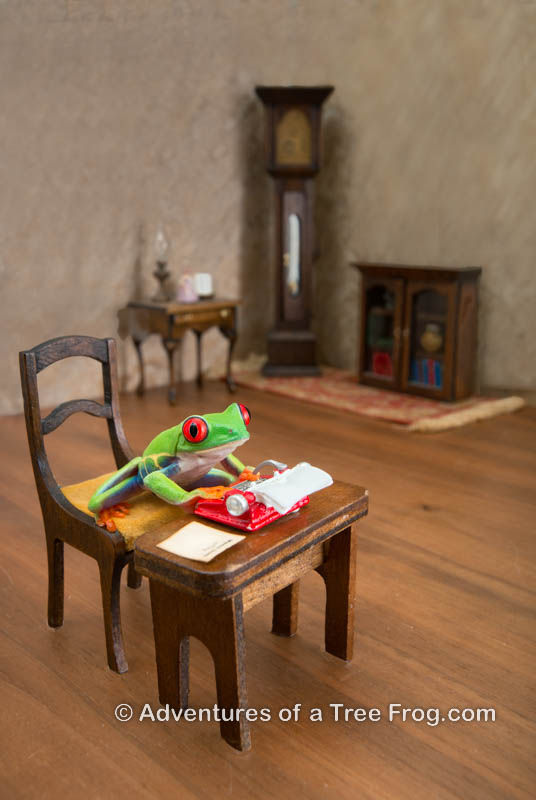 A Ribbiting Tale | Frogs Doing Things