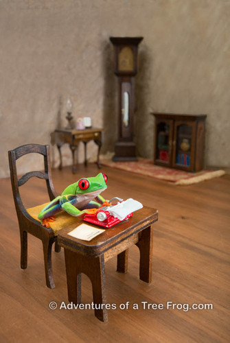 A Ribbiting Tale | Frogs Doing Things