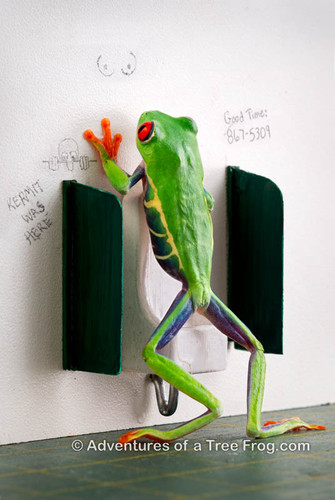Men's Room | Frogs Doing Things
