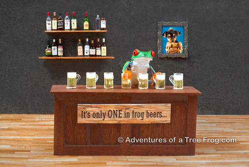 Frog Beers | Frogs Doing Things