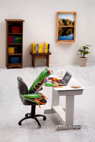 Blog Frog | Frogs Doing Things