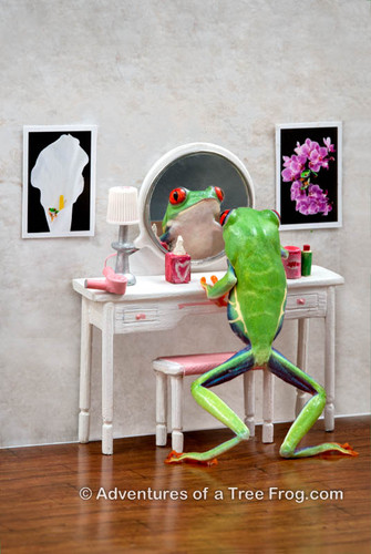 Powder Room | Frogs Doing Things