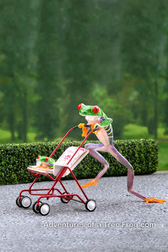 Out for a Stroll | Frogs Doing Things