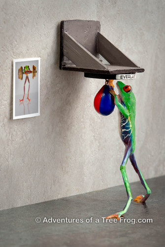 Flyweight | Frogs Doing Things