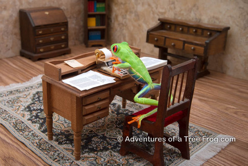 Tax Frog | Frogs Doing Things