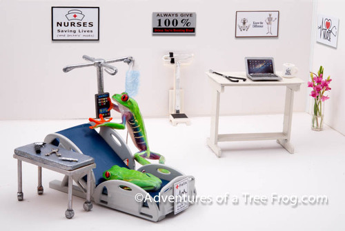 Nurse Frog | Frogs Doing Things