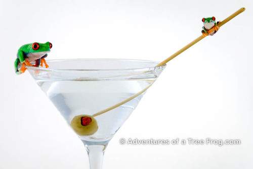 Hoppy Hour | Frogs Doing Things