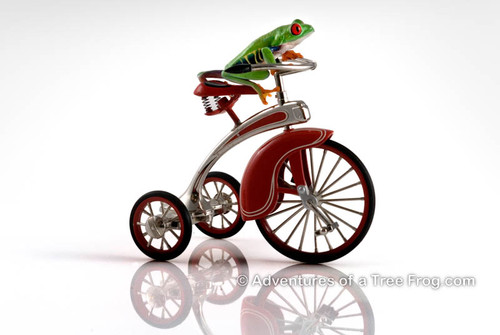 Tricycle | Frogs Doing Things