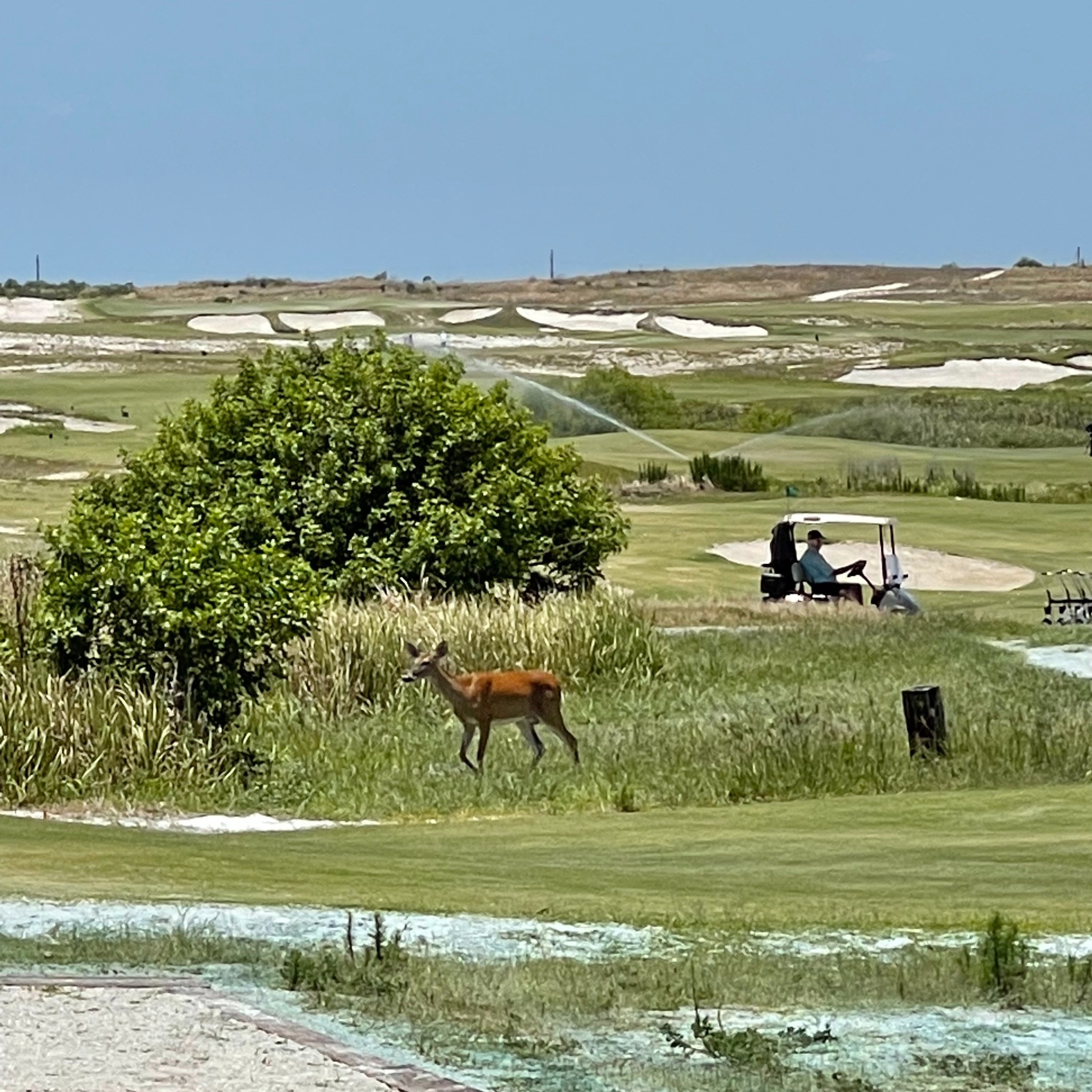 Streamsong Golf Resort in Florida