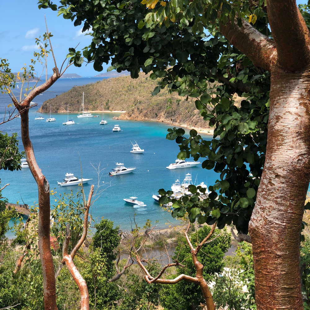 Hiking on Norman Island, British Virgin Islands