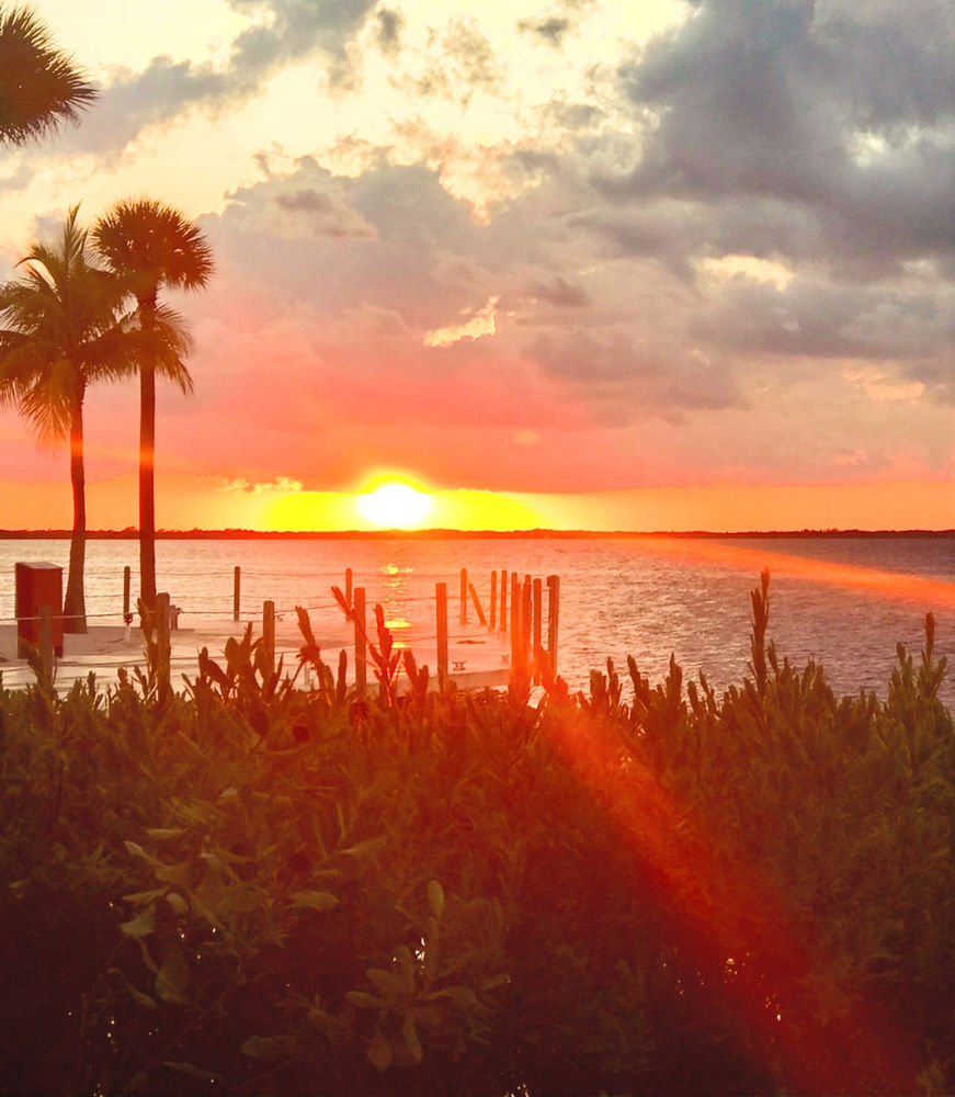 Exploring the Natural Beauty of the Florida Keys