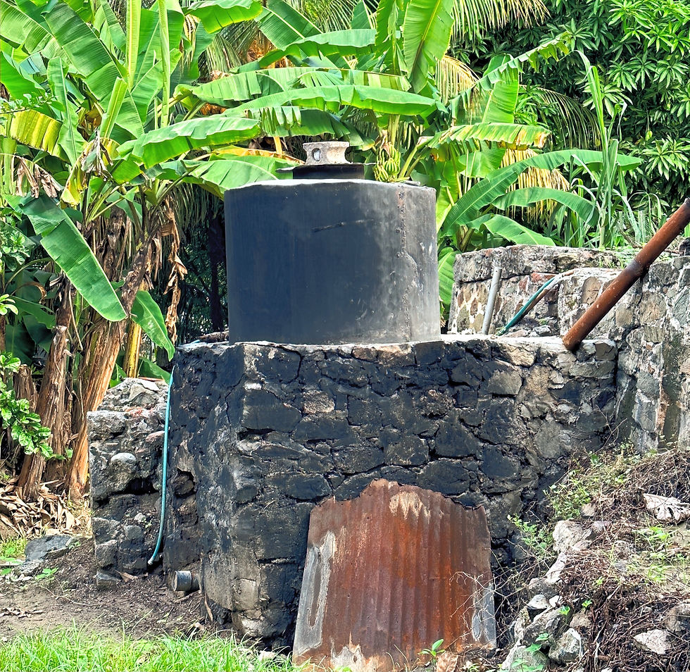 Callwood Rum Distillery: A Toast to Tradition in the Heart of the ...