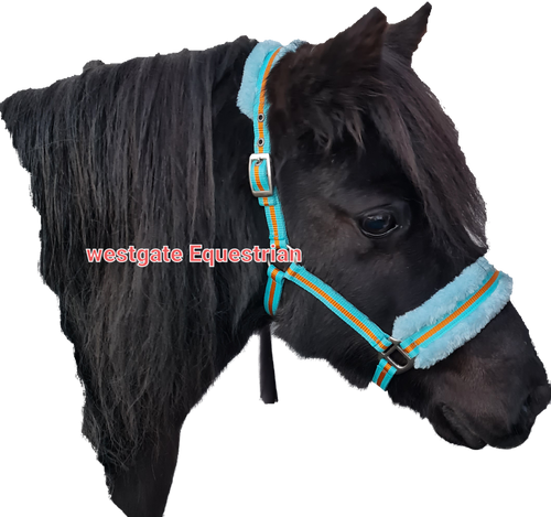 Baby Blue Fluffy Headcollar Shetland | Westgate Equestrian