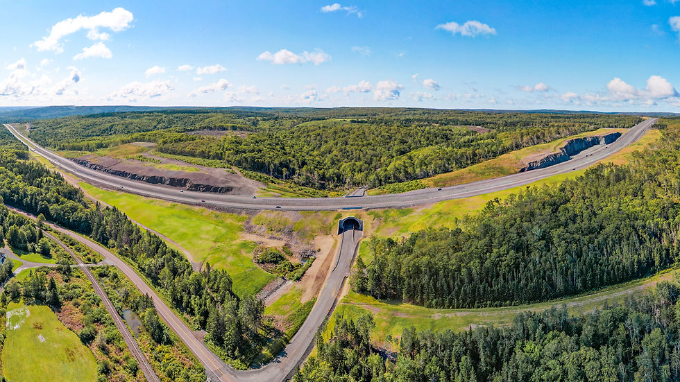 Nova Construction Services