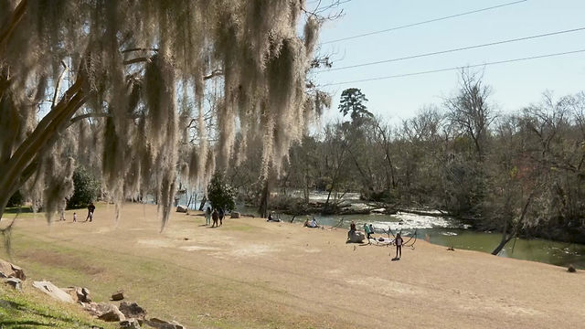 News | Magdalena Davis