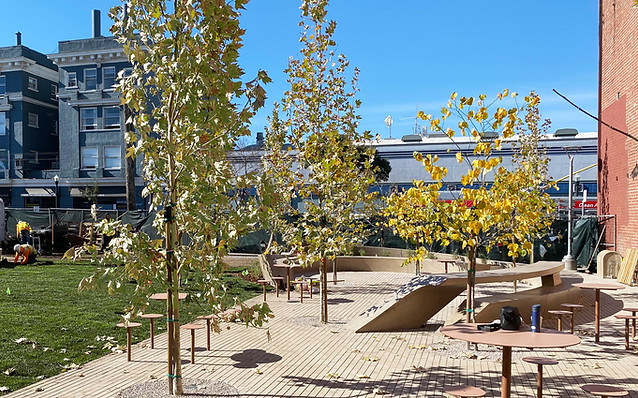 Fillmore Turk Mini Park | TS STUDIO