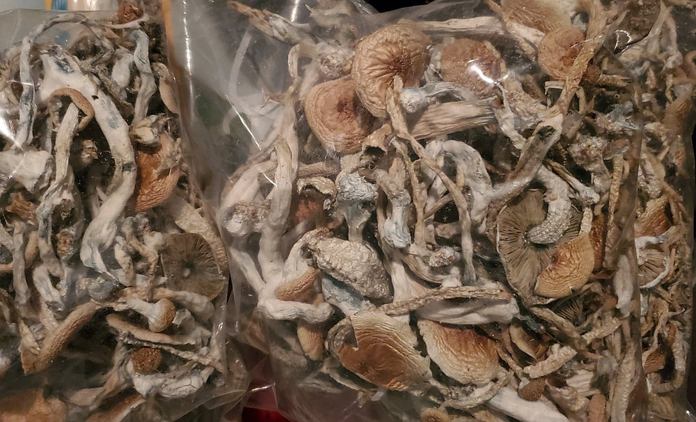 The Psilocybin Promise: A Natural Pathway to Enhanced Well-being