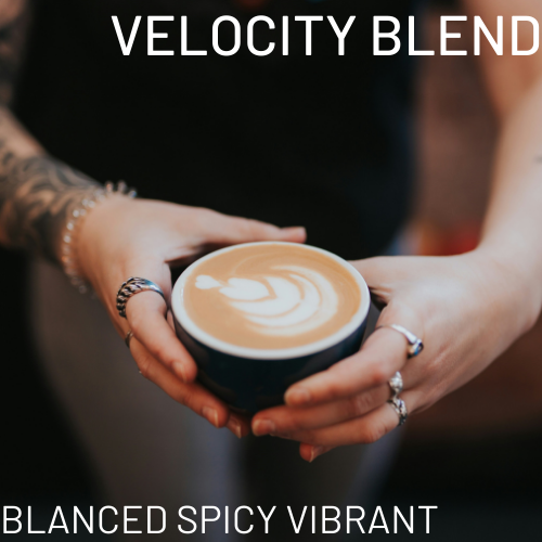 Spitfire Coffee | Freshly Roasted Coffee