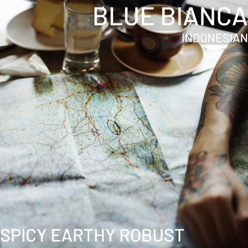 Indonesian Blue Bianca | Spitfire Coffee