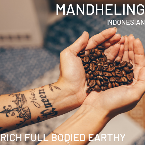 Indonesian Mandheling | Spitfire Coffee