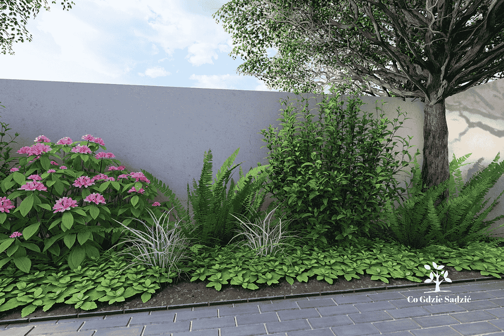 Rabata w cieniu, która zachwyca – praktyczne wskazówki projektowe | Co Gdzie Sadzić