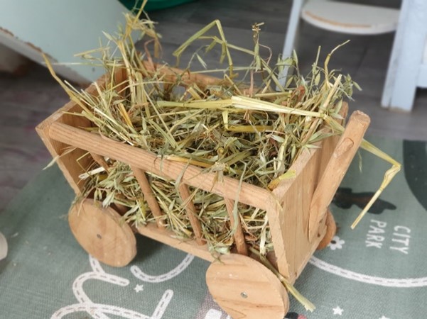 A Guide to Hay Racks for Rabbits